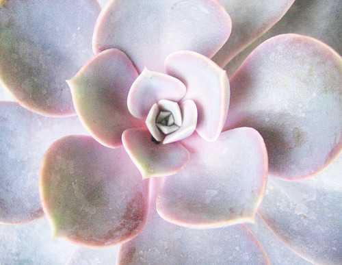 Plinner.com • oriol78